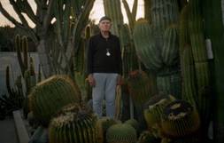 Private View: The Cactus of Klaus | NOWNESS