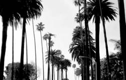 Quentin Jones | NOWNESS