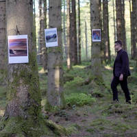 Helen Plumb - Videos & Short Films About Helen Plumb