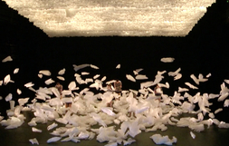 Environment - Videos & Short Films About Environment