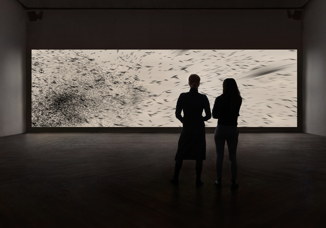 Complex Systems | NOWNESS