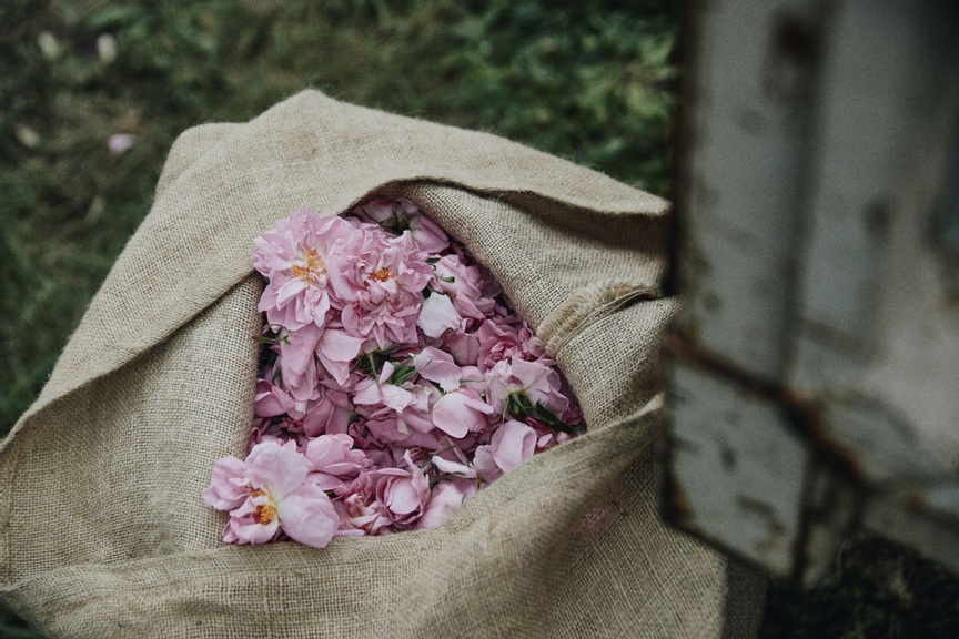 The Rose of May | NOWNESS