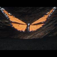William Arcane - Videos & Short Films About William Arcane