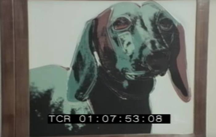 Andy Warhol on pets | NOWNESS