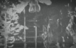 The Trees & The Wild: Zaman, Zaman | NOWNESS