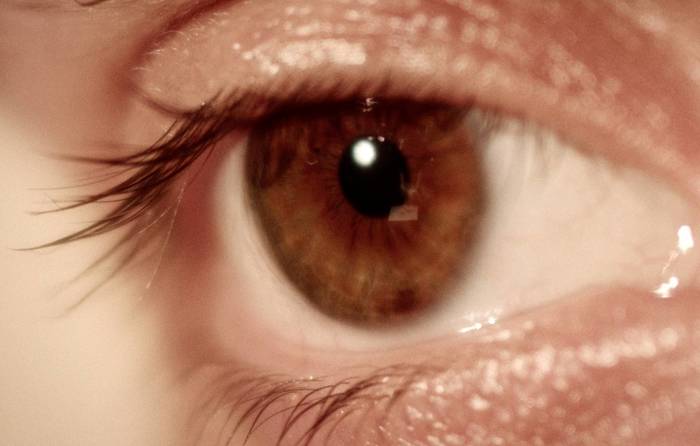 William Arcane: Awakening | NOWNESS