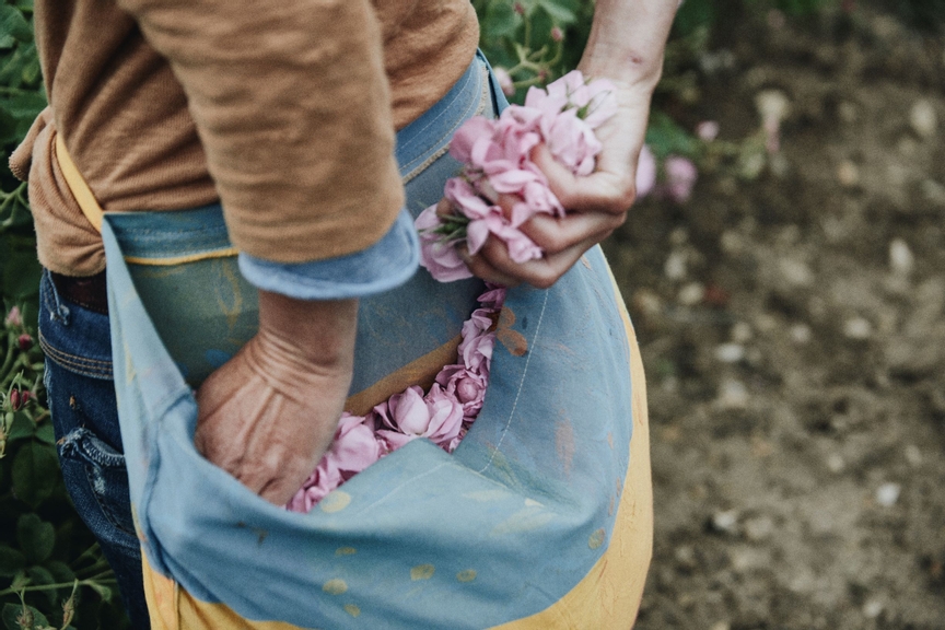 The Rose of May | NOWNESS