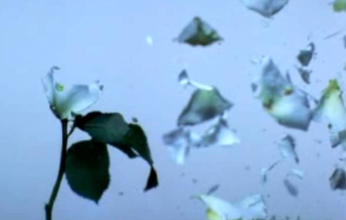 Massive Attack: Special Cases | NOWNESS