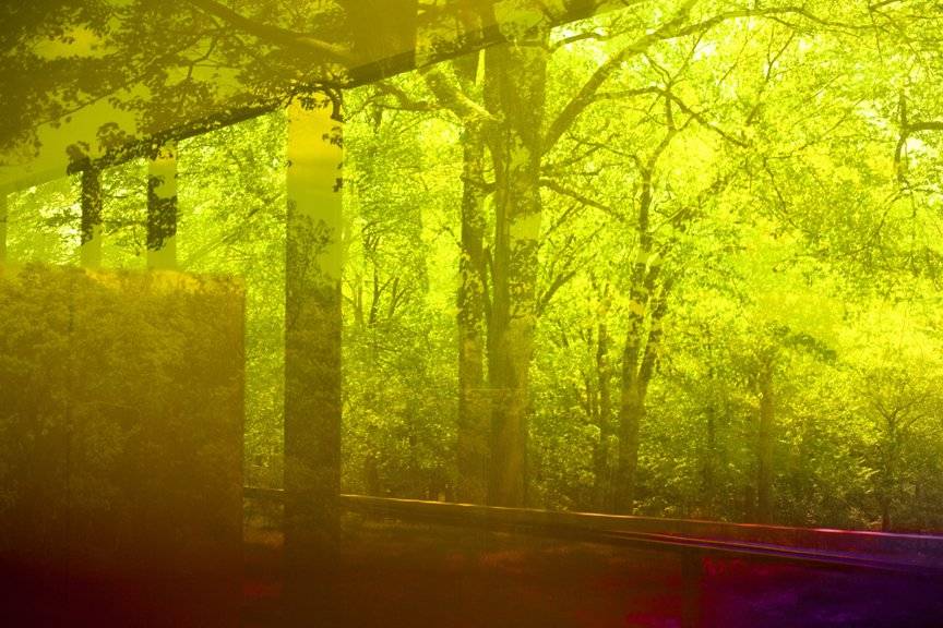 James Welling's The Glass House | NOWNESS