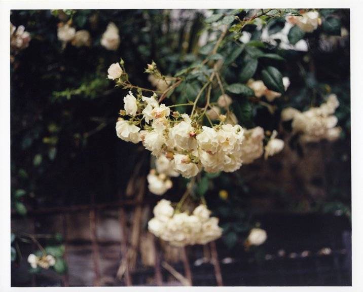 Still Lives: Toby Glanville | NOWNESS