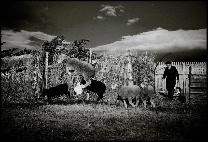 Ranch Life | NOWNESS