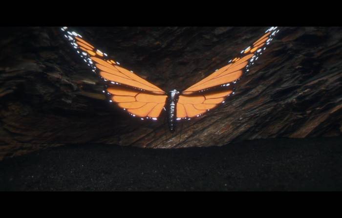 William Arcane: Well Wishes For A Dear Friend | NOWNESS