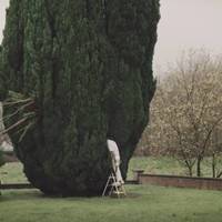 IDLES - Videos & Short Films About IDLES